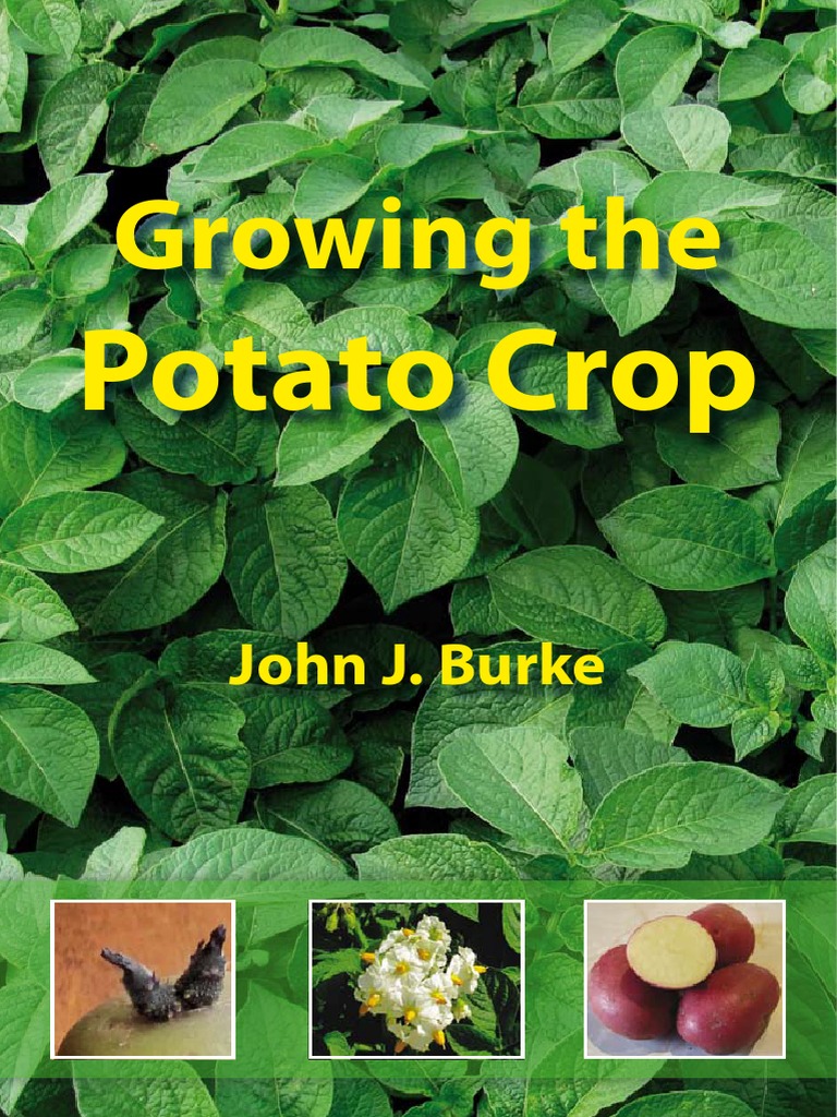 Growing The Potato Crop (PDFDrive) | PDF | Potato | Root