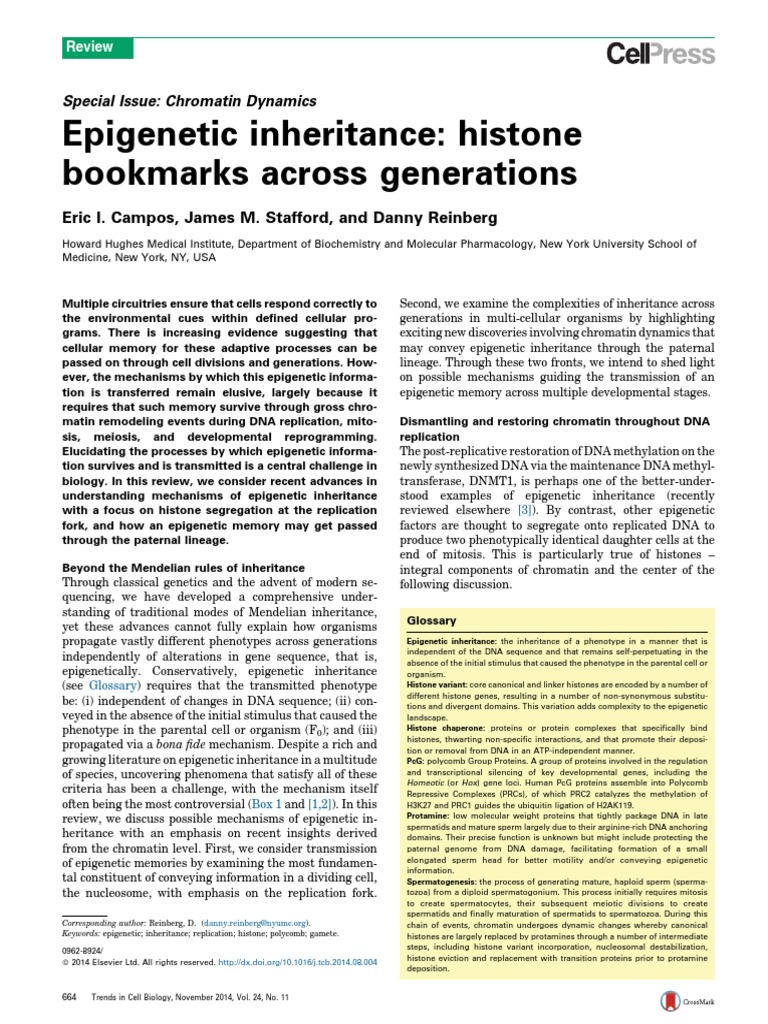 Epigenetic Inheritance Histone Bbookmarks Acroos Generations | PDF ...