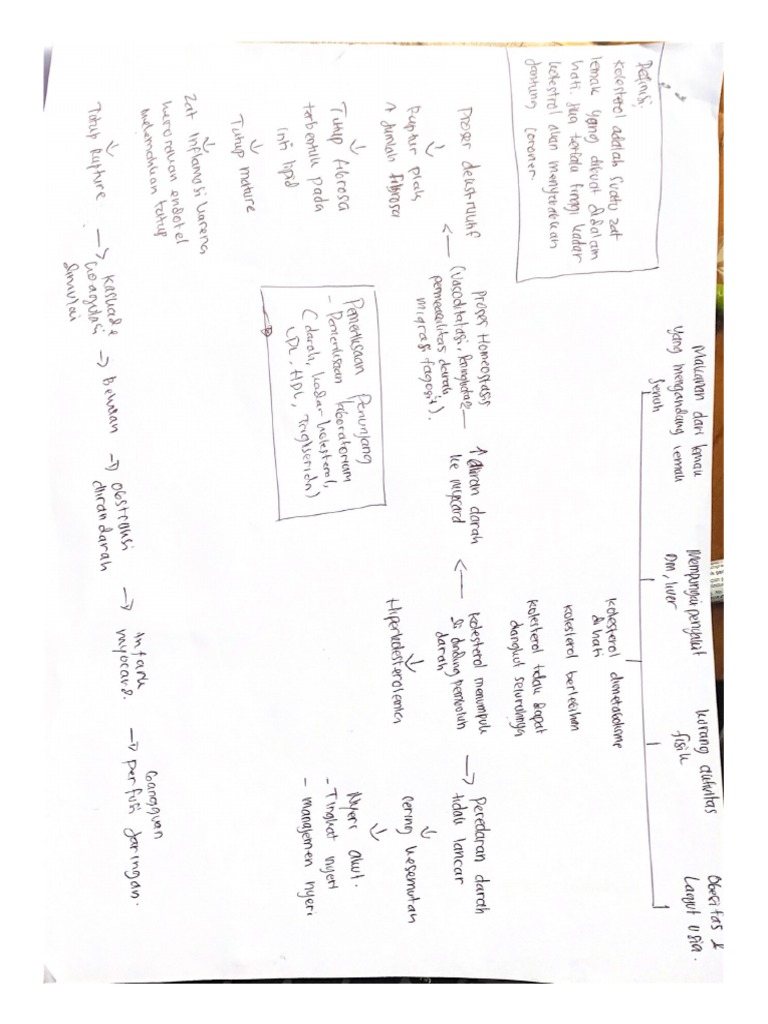 Pathway Kolesterol | PDF