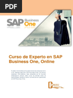 Comandos Rápidos para SAP Business One | PDF | Informática | Software