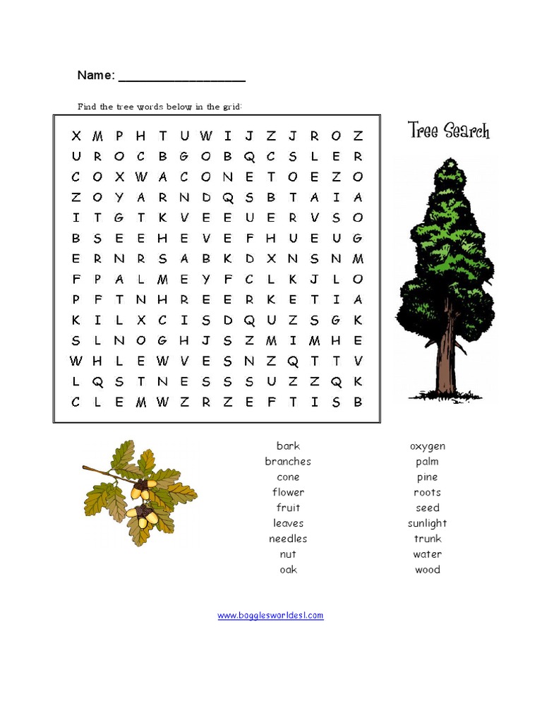 Name: - : Find The Tree Words Below in The Grid | PDF