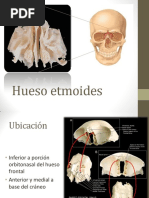 (Anatomía) Triángulos de Pirogoff y Béclard | PDF | Medicina CLINICA ...