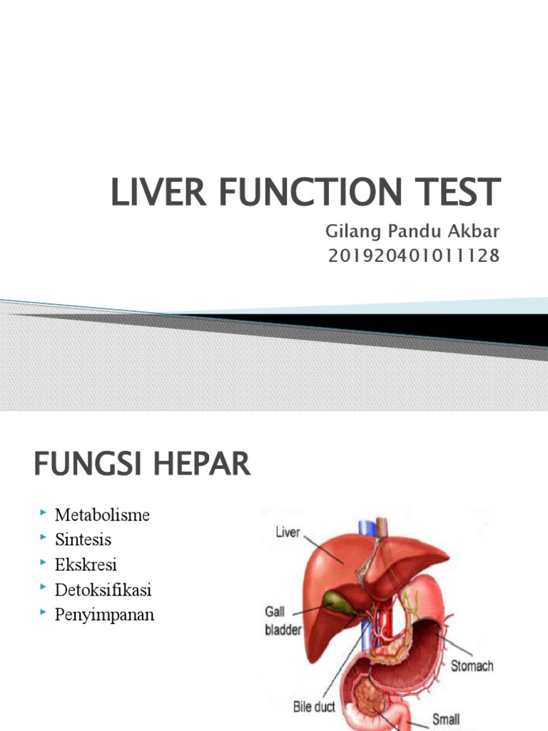 Fungsi Hepar | PDF