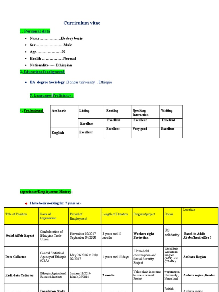 Ethiopian Sociologist CV and Experience | PDF | Ethiopia | Business