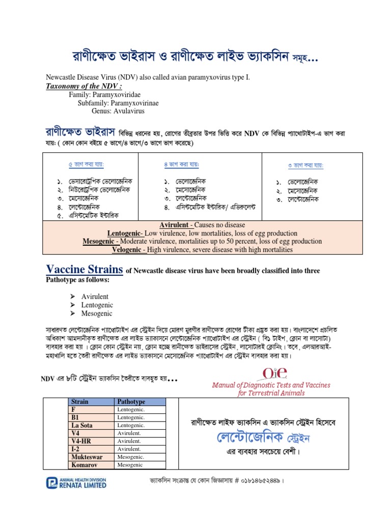 Ivyx Z Fvbivm I Ivyx Z JVBF F VKWMB .. | PDF | Health Sciences | Animal ...