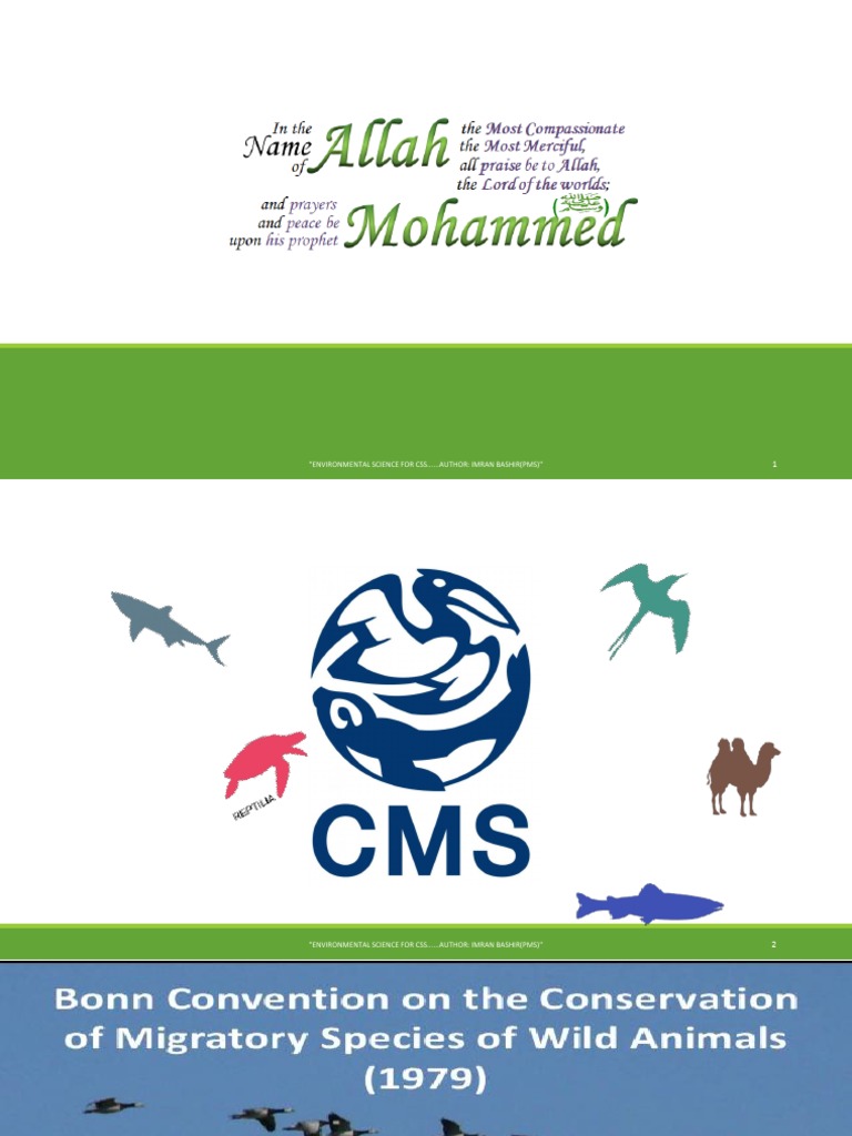 Bonn Convention CMS | PDF