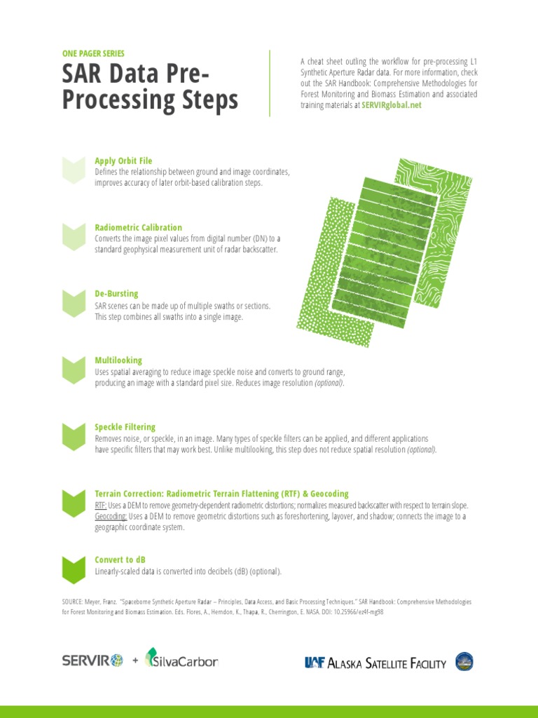 SAR DataProcessing 1page New | PDF