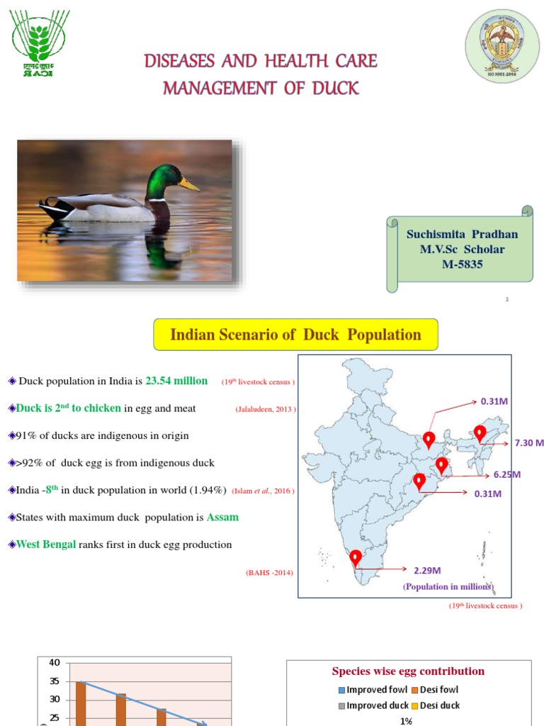 Disease and Health Care Management On Duck | PDF | Infection | Vaccines