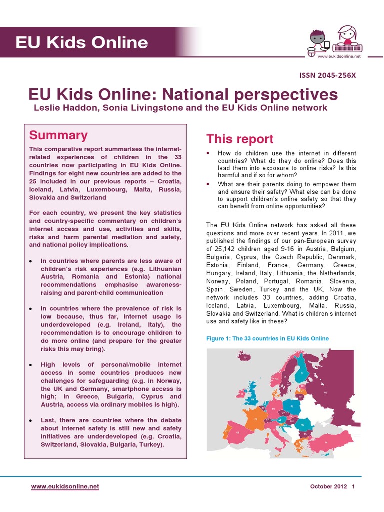 Perspectives Report | PDF | Online And Offline | Internet