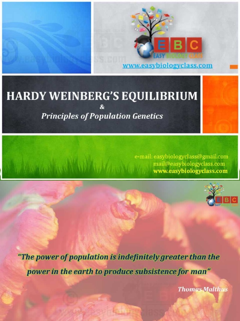 Hardy Weinberg Equilibrium PPT by Easybiologyclass | PDF