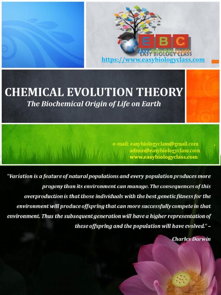 Chemical Evolution Theory | PDF