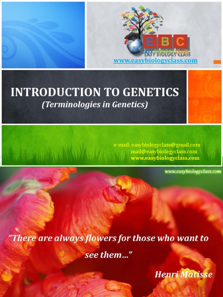 Introduction To Genetics PPT by Easybiologyclass | PDF | Computers ...