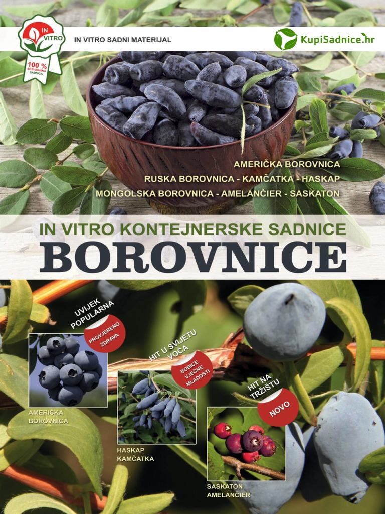 Katalog Borovnice | PDF