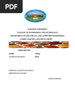 Business - Plan - Final - Docx Baltina | PDF | Spice | Retail