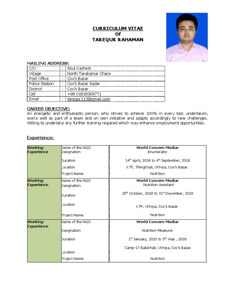 Updated CV | PDF | Literacy | Behavior Modification