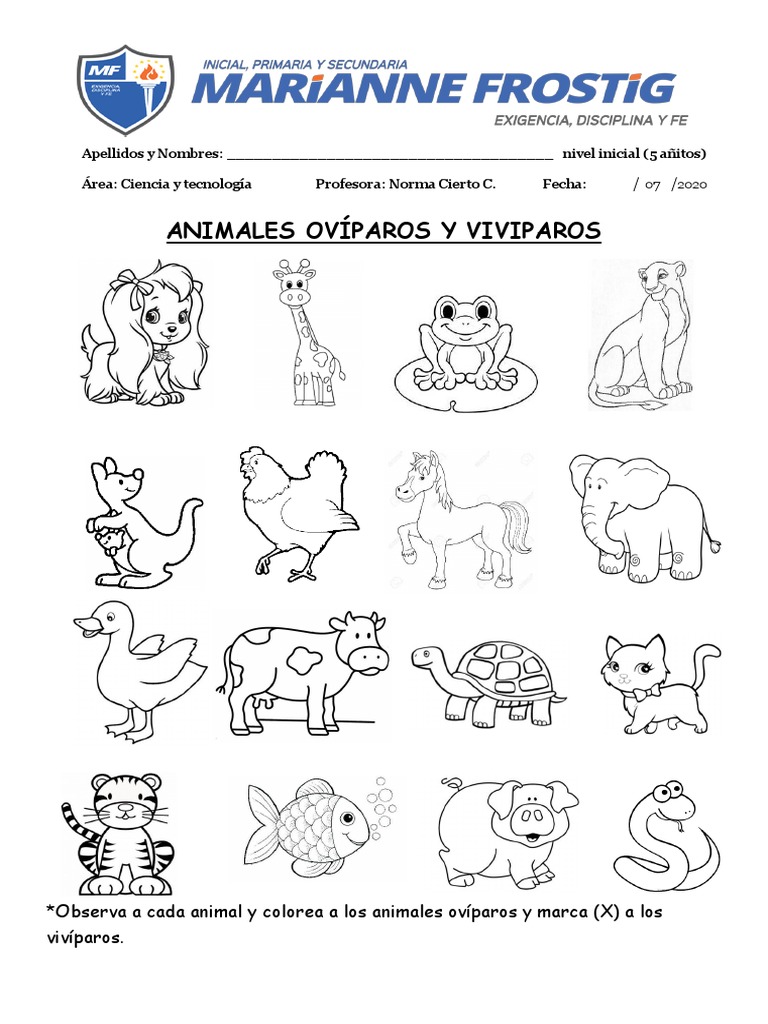 Animales Ovíparos y Vivíparos | PDF