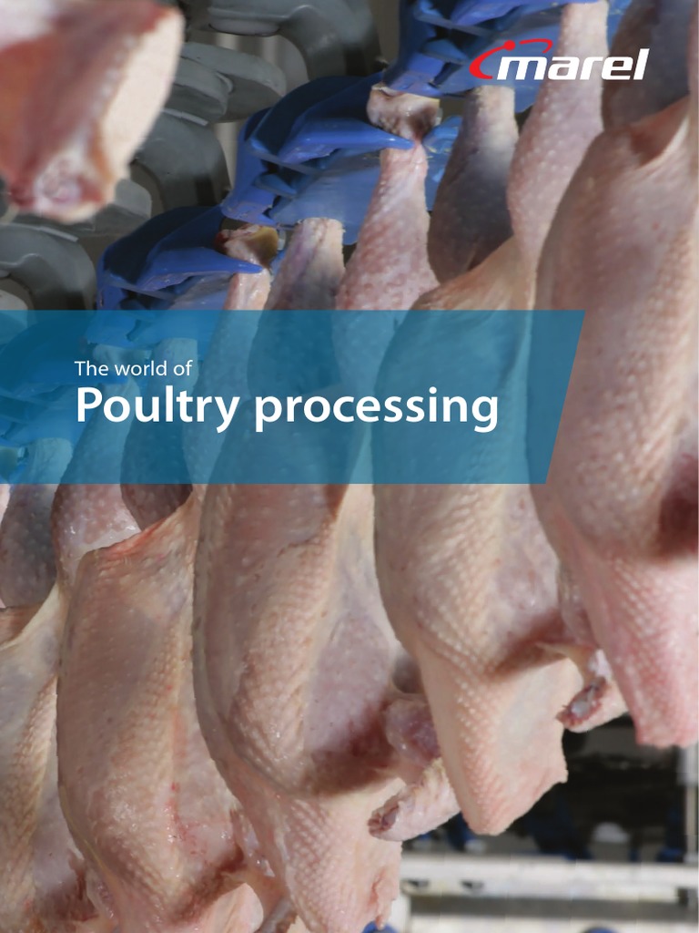 Poultry Processing: The World of | PDF | Automation | Business Process ...
