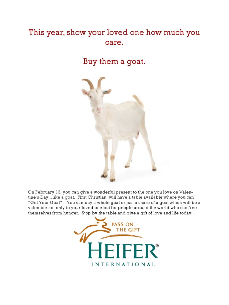 Heifer Goat 0211 | PDF