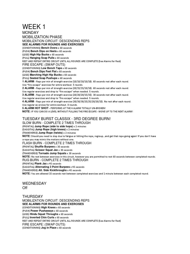 Athlean X Max Shred Workout Odf | PDF | Strength Training | Human Anatomy