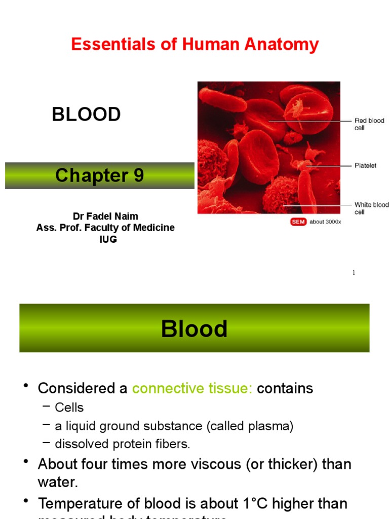 Blood: Essentials of Human Anatomy | PDF