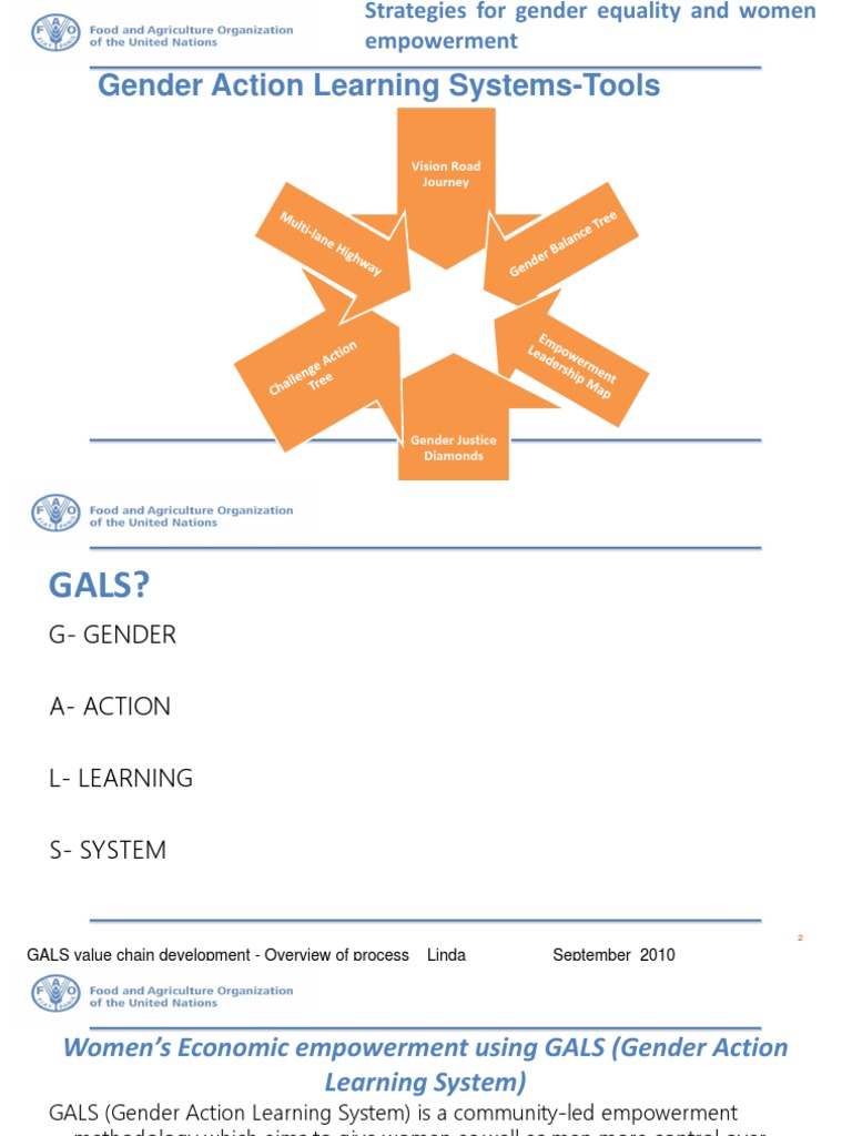 Gender Action Learning Systems-Tools: Vision Road Journey | PDF | Empowerment | Gender