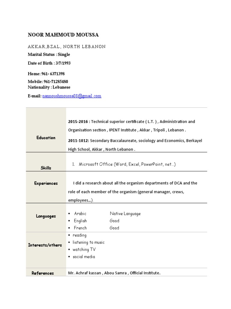 Noor Moussa: CV & Skills Overview | PDF | Foreign Language Studies