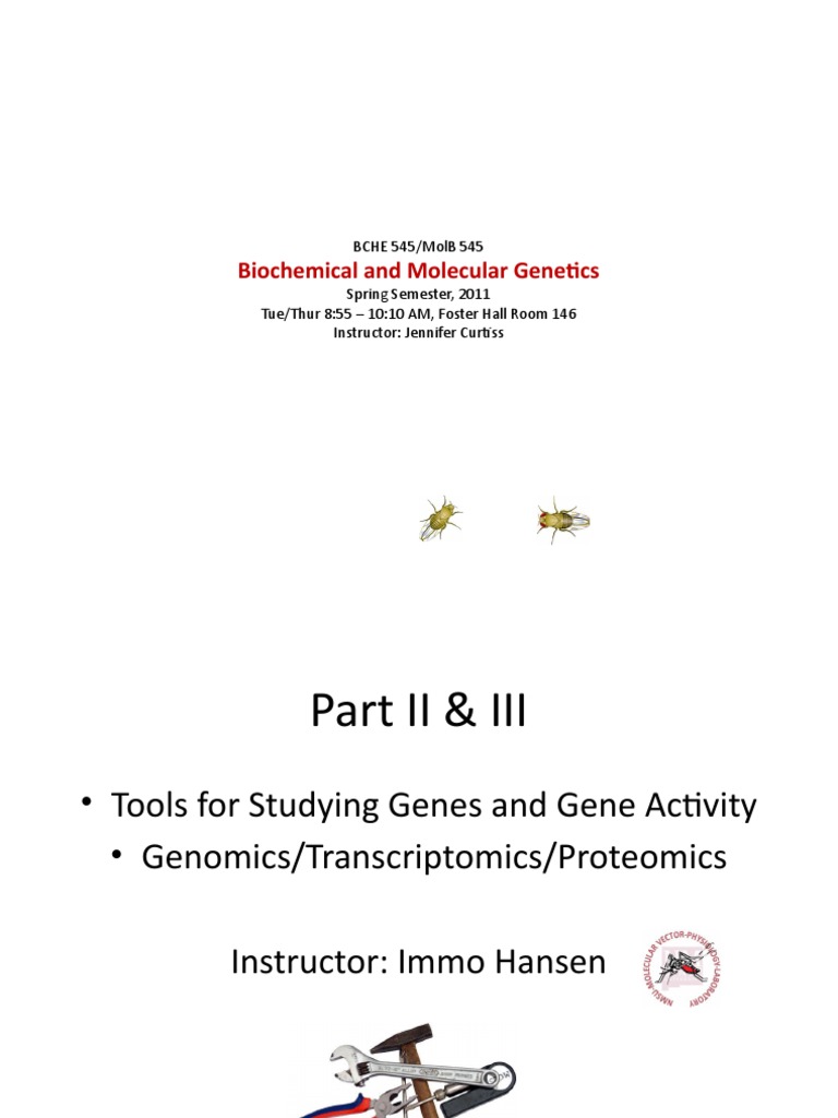 Biochemical and Molecular Genetics: Bche 545/molb 545 | PDF | Molecular ...
