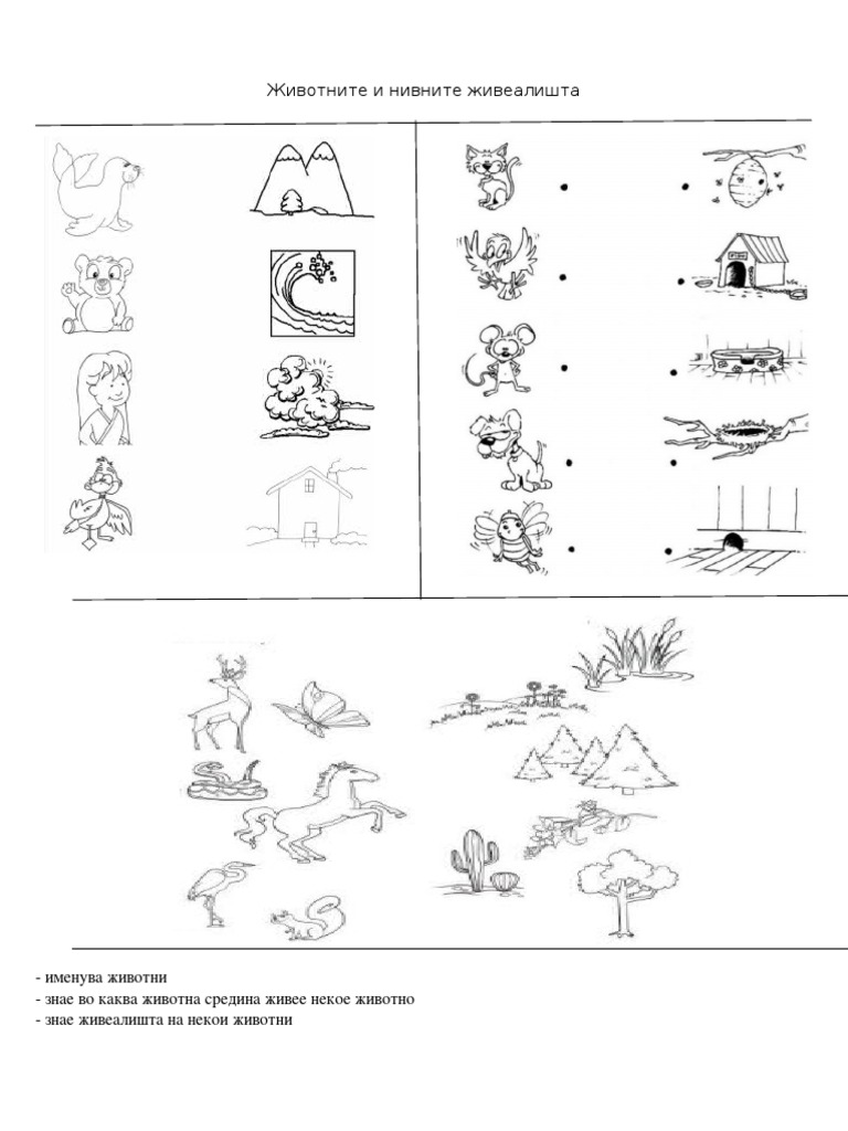 Zivotni I Zivealishta | PDF