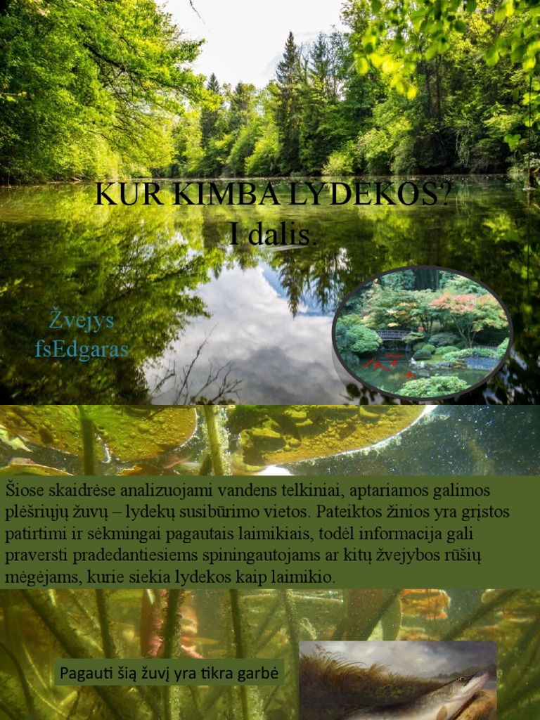 Kur Kimba Lydekos 3 | PDF
