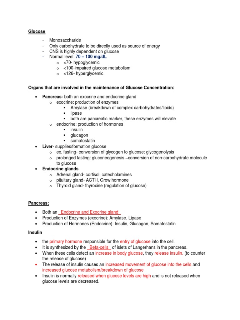 Carbohydrates Handout | PDF | Prediabetes | Gestational Diabetes