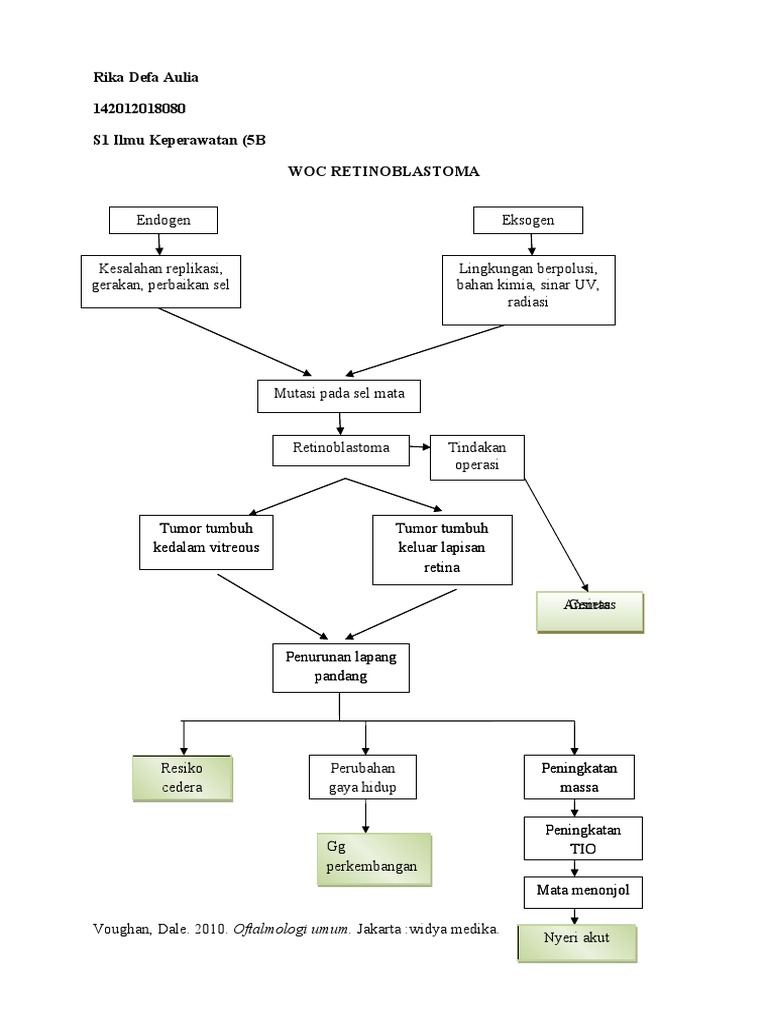 Woc Retinoblastoma | PDF