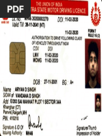 Driving Licence | PDF