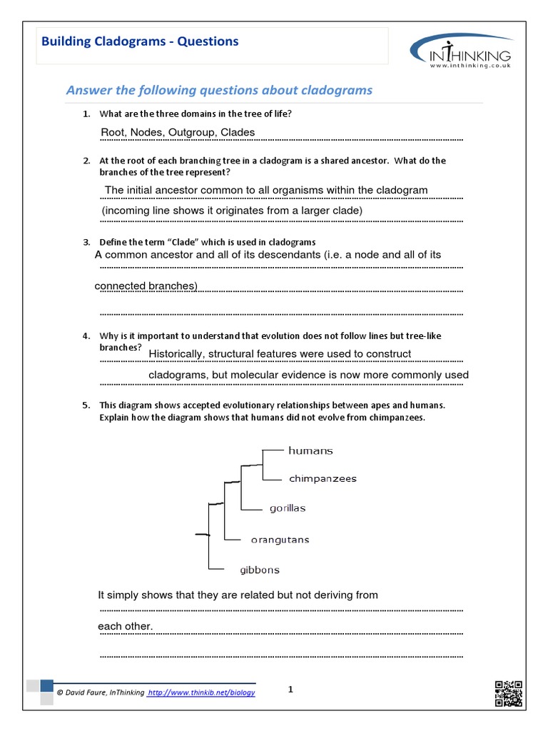Answer The Following Questions About Cladograms | PDF | Phylogenetic ...