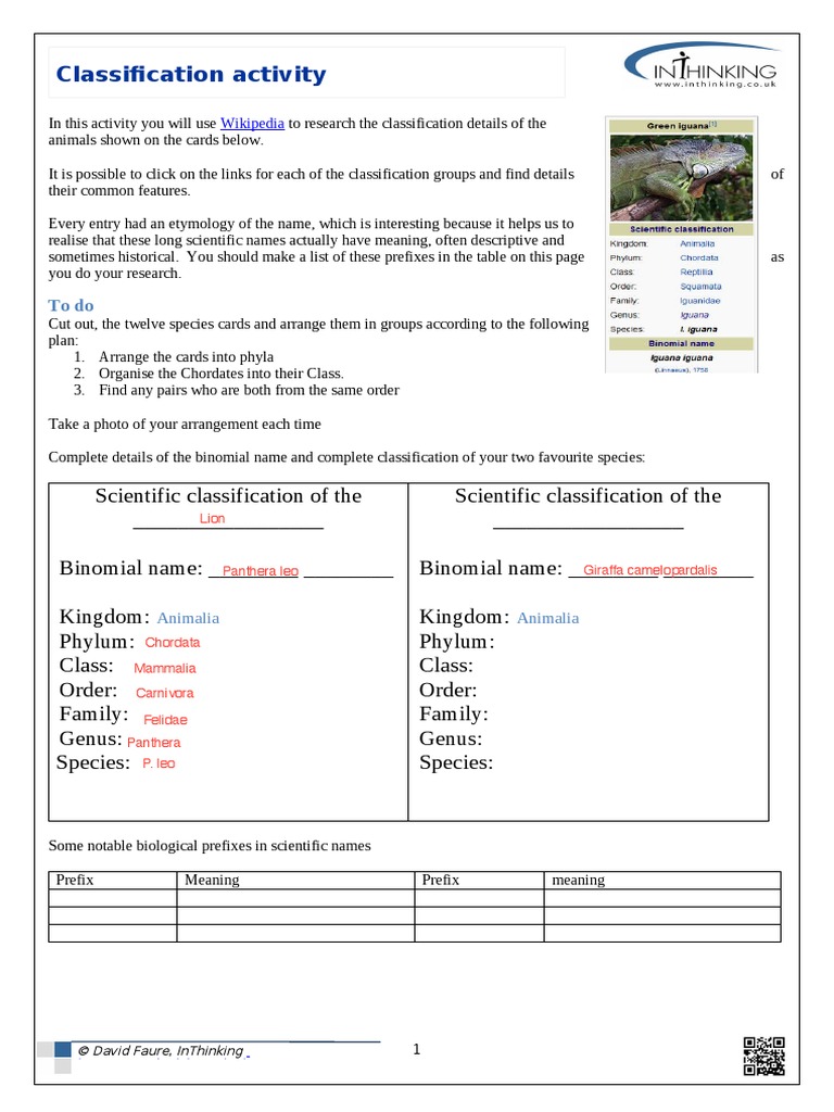 Classification Activity: To Do | PDF | Taxa | Biological Classification