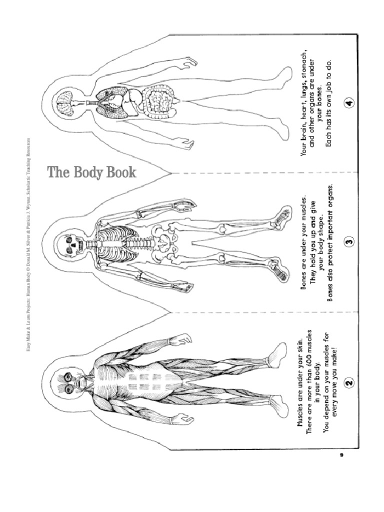 The Body Book | PDF