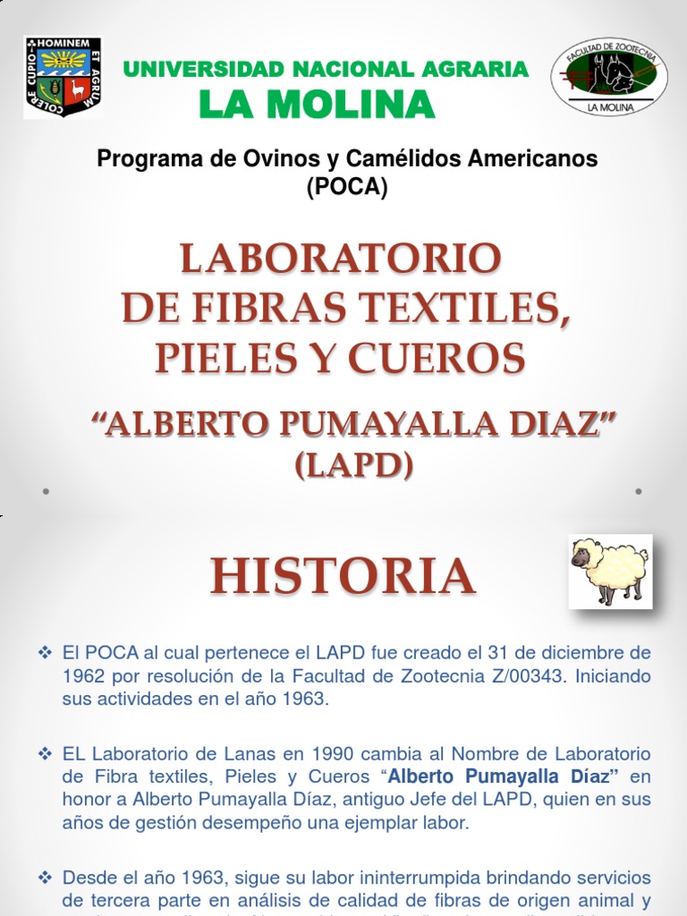 Laboratorio Alberto Pumayalla Díaz | PDF | Ciencia y matemáticas