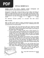 Liberty Ships | PDF | Fracture | Fracture Mechanics
