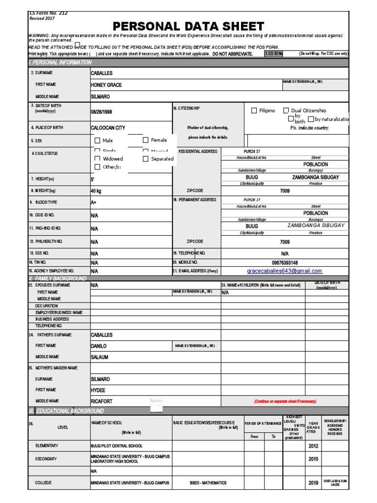 Personal Data Sheet | Download Free PDF | Passport | Public Law