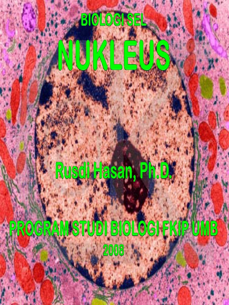 Nukleus PDF | PDF | Dna | Rna