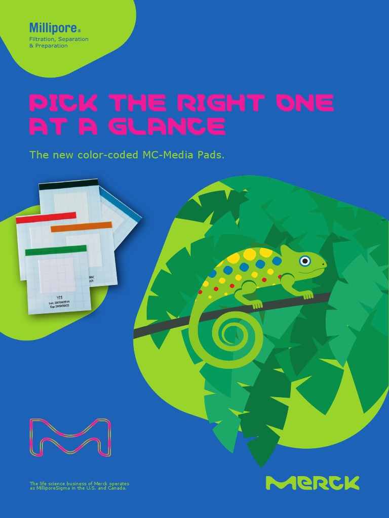 MC Media Pad Brochure | PDF | Staphylococcus | Escherichia Coli