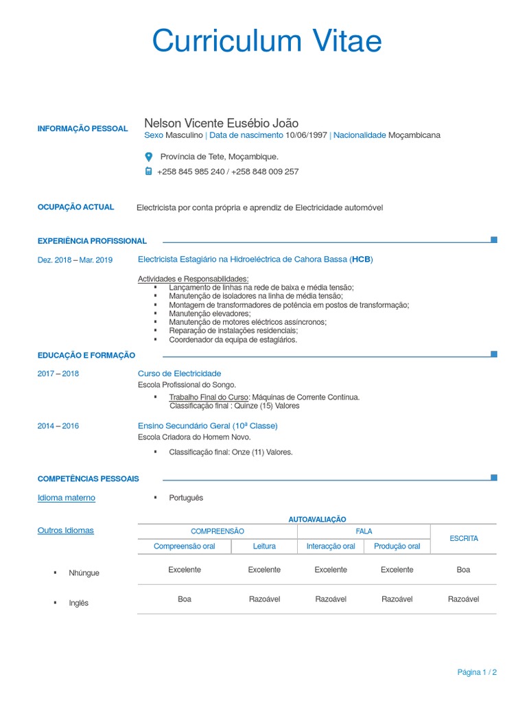CV Nelson | PDF | Eletricista | Computação e Tecnologia da Informação