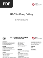 IADC WellSharp Kill Sheet | PDF | Gases | Chemical Engineering