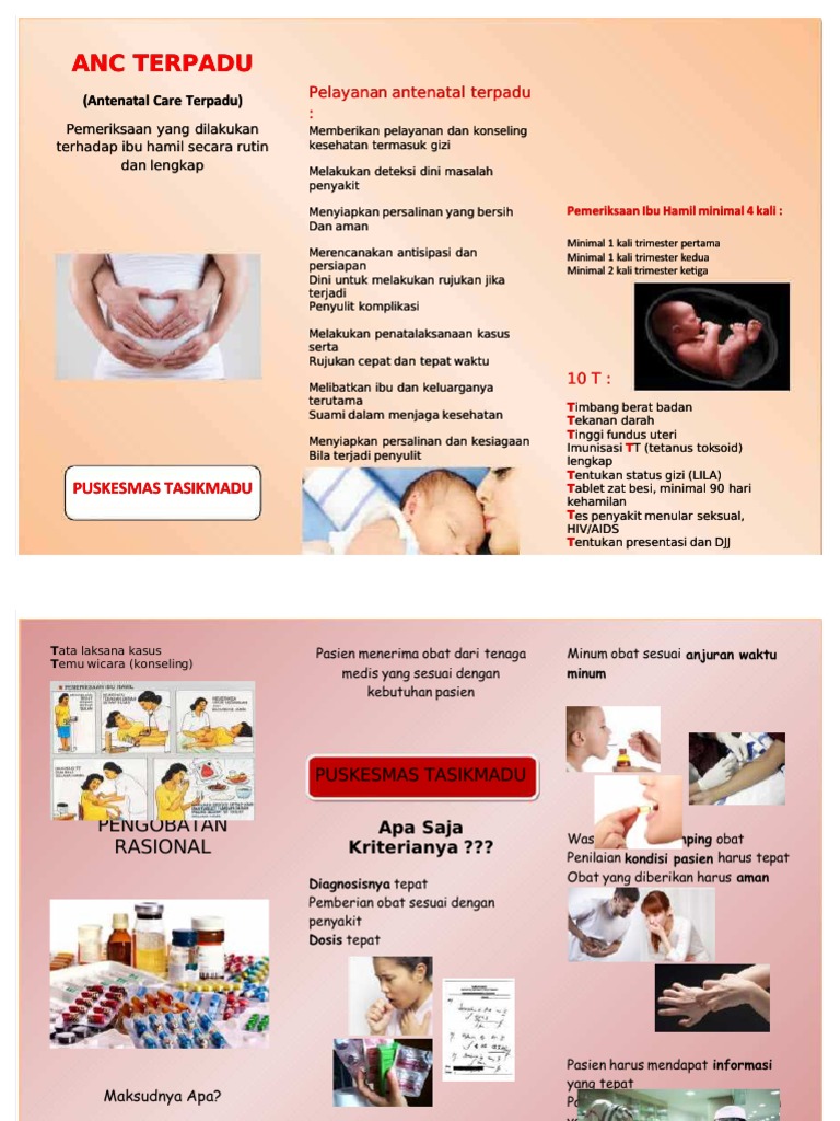 PDF Leaflet Anc Terpadu DD | PDF