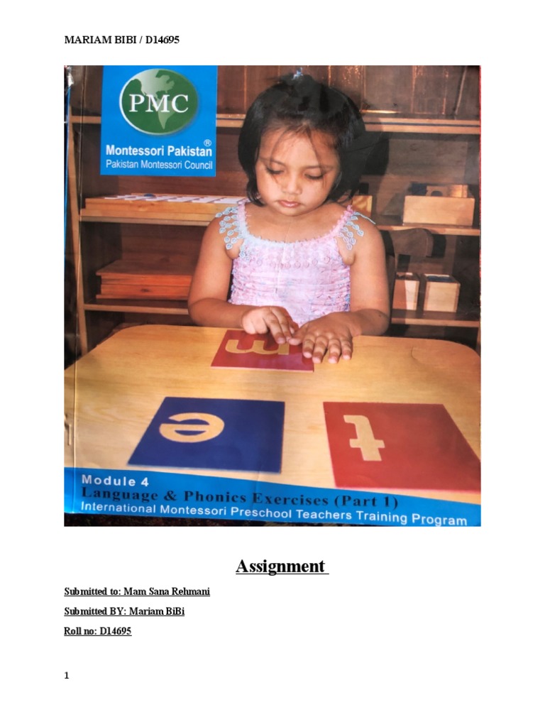 Assignment 4 | PDF | Montessori Education | Vocabulary