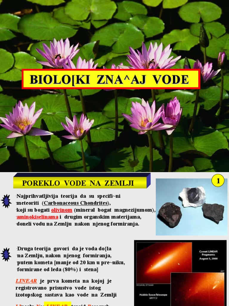 Pog2 Biol - Znacaj Vode | PDF