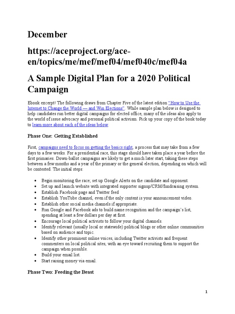 A Sample Digital Plan For A 2020 Political Campaign | PDF | Political ...