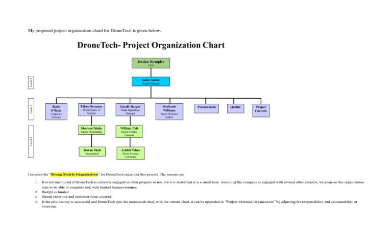 Project Organization Chart of DroneTech | PDF