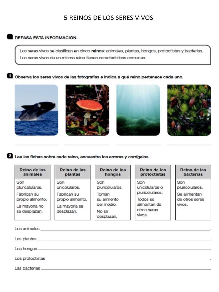 Ficha 5 Reinos | PDF