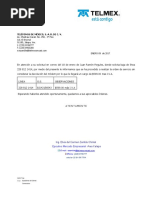 AM-SRT Formato Editable PAGINA 1 | PDF