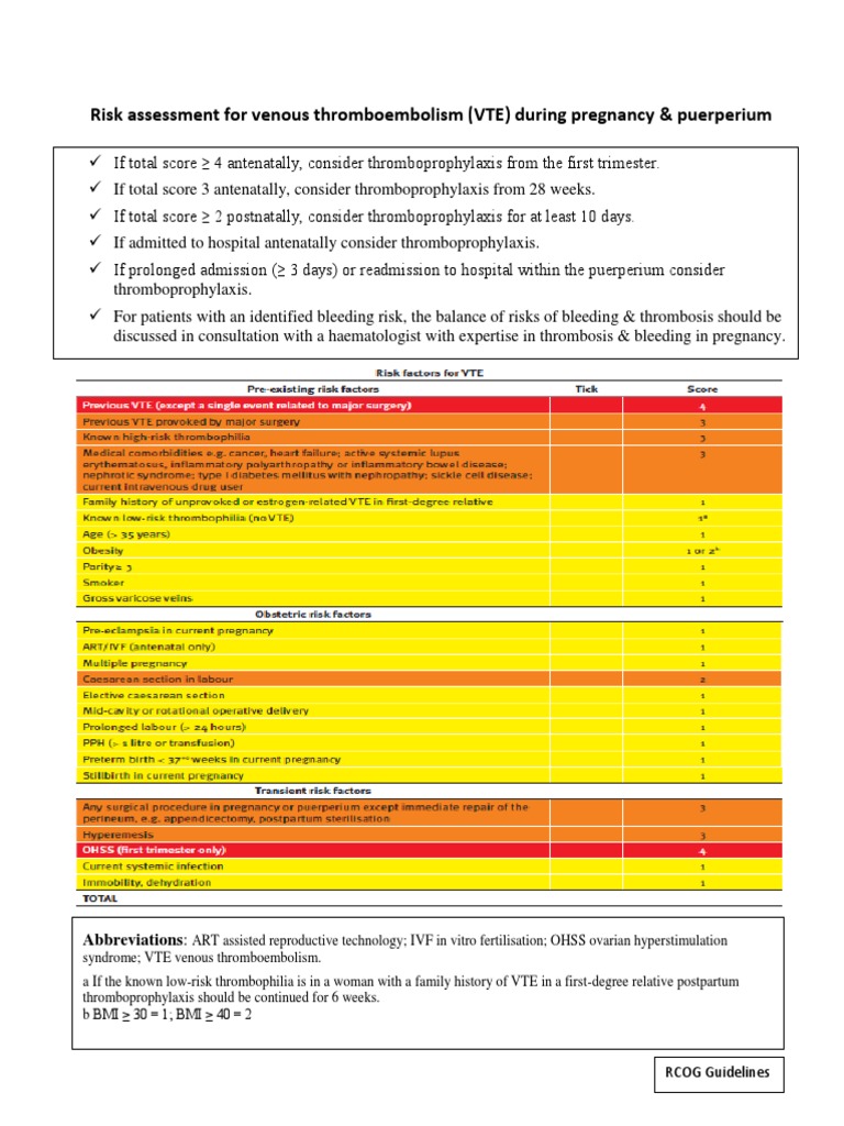 VTE Risk Assessment in Pregnancy | PDF